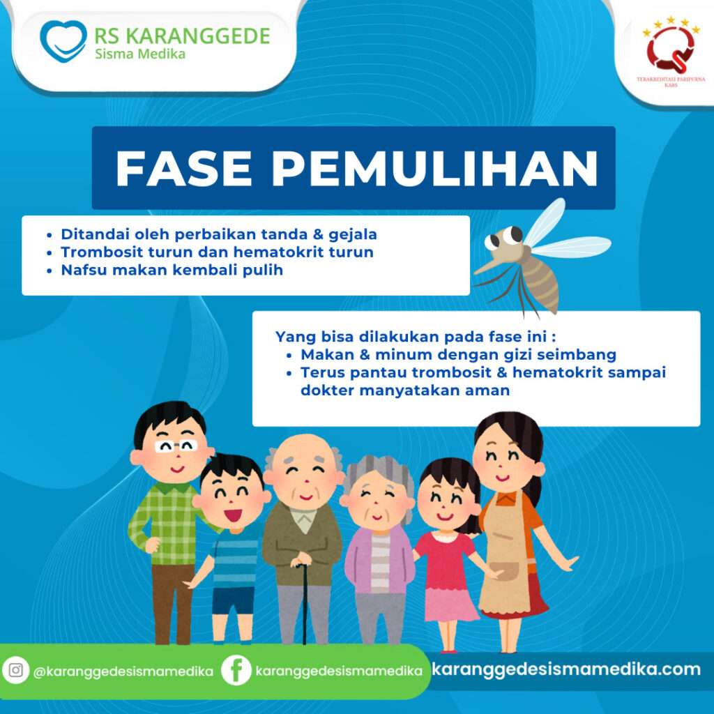 Jangan Terlambat Mengenali Gejala DBD (Demam Berdarah Dengue) - Rumah ...