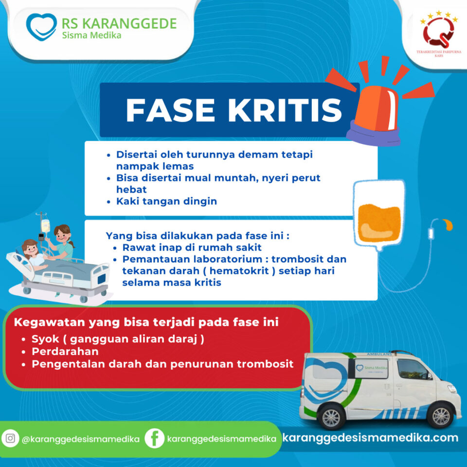 Jangan Terlambat Mengenali Gejala DBD (Demam Berdarah Dengue) - Rumah ...